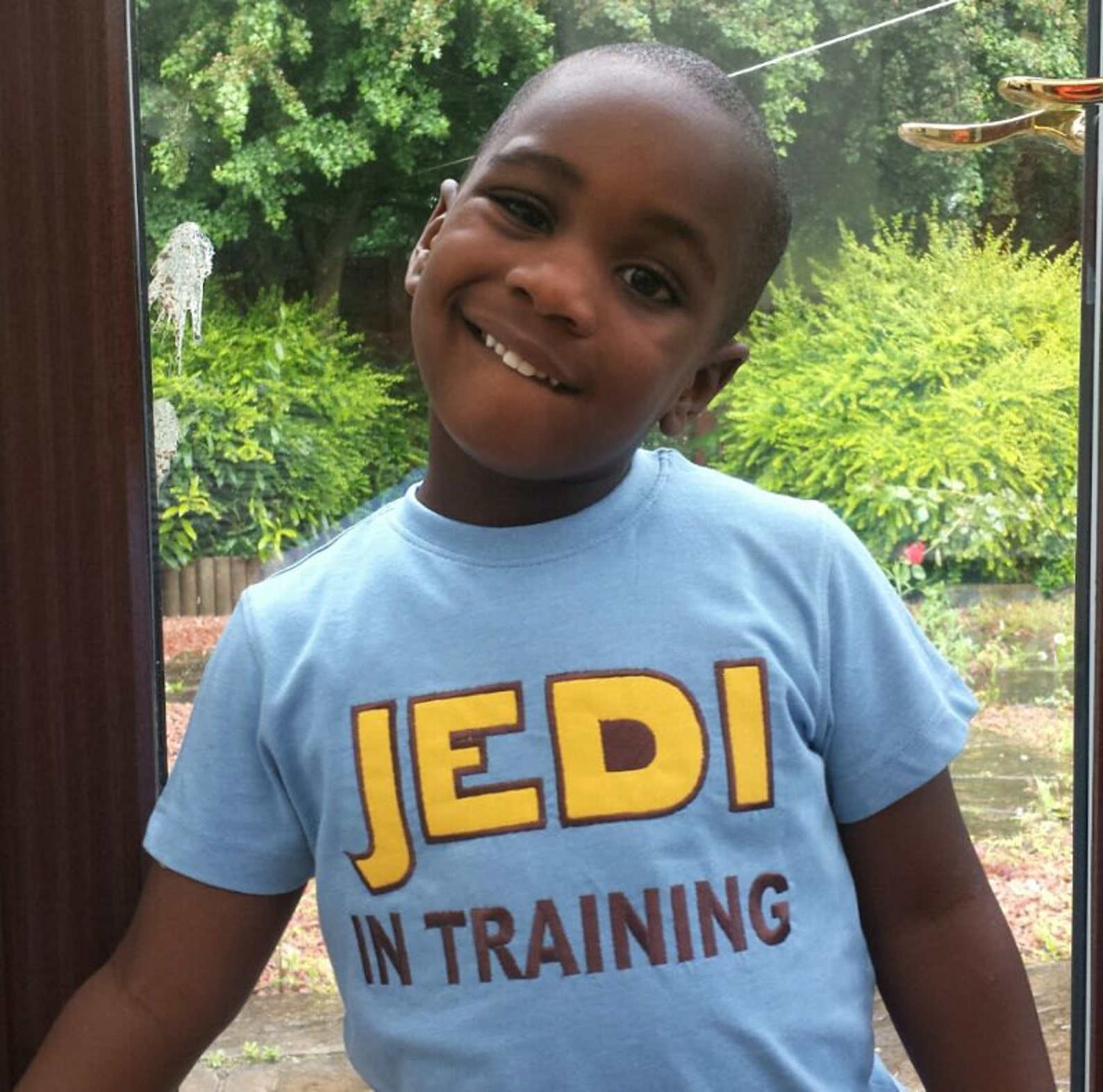 Jedi in Training Fill and Appliique . INSTANT DOWNLOAD. Machine ...