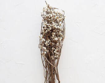 Tallow Berries | Etsy