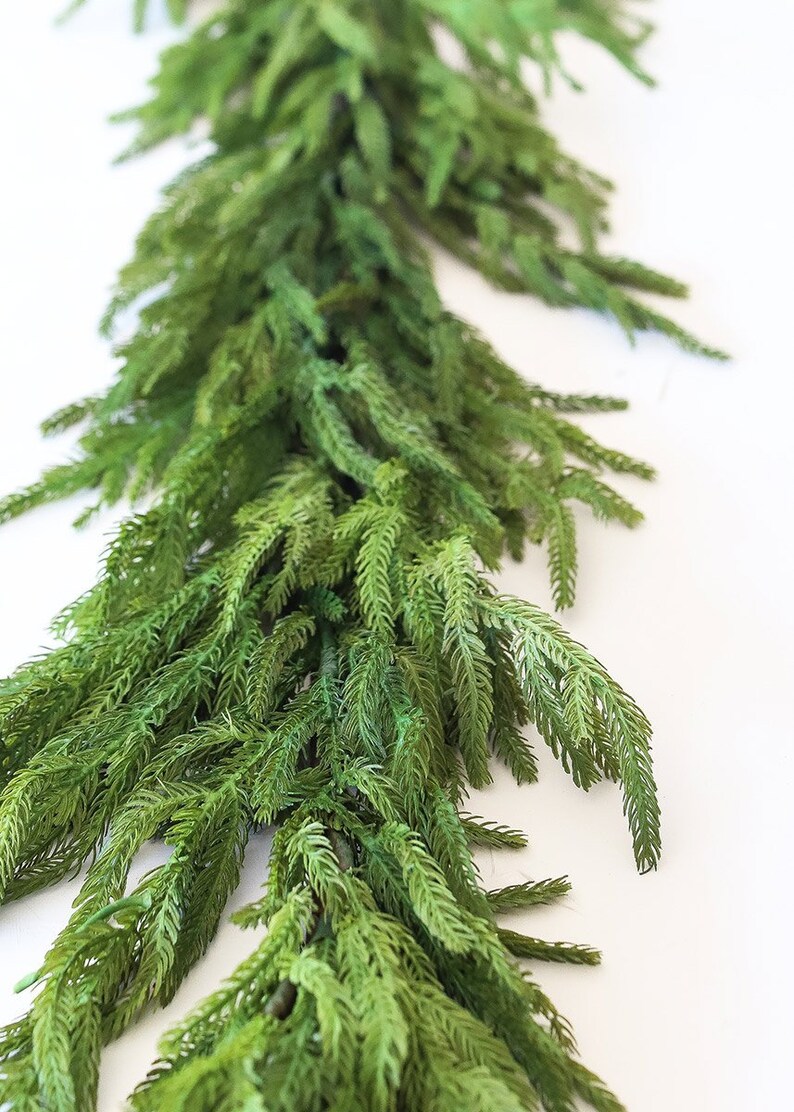 Real Touch Norfolk Pine Garland 60 | Etsy Real Touch Norfolk Pine Garland 60 | Etsy