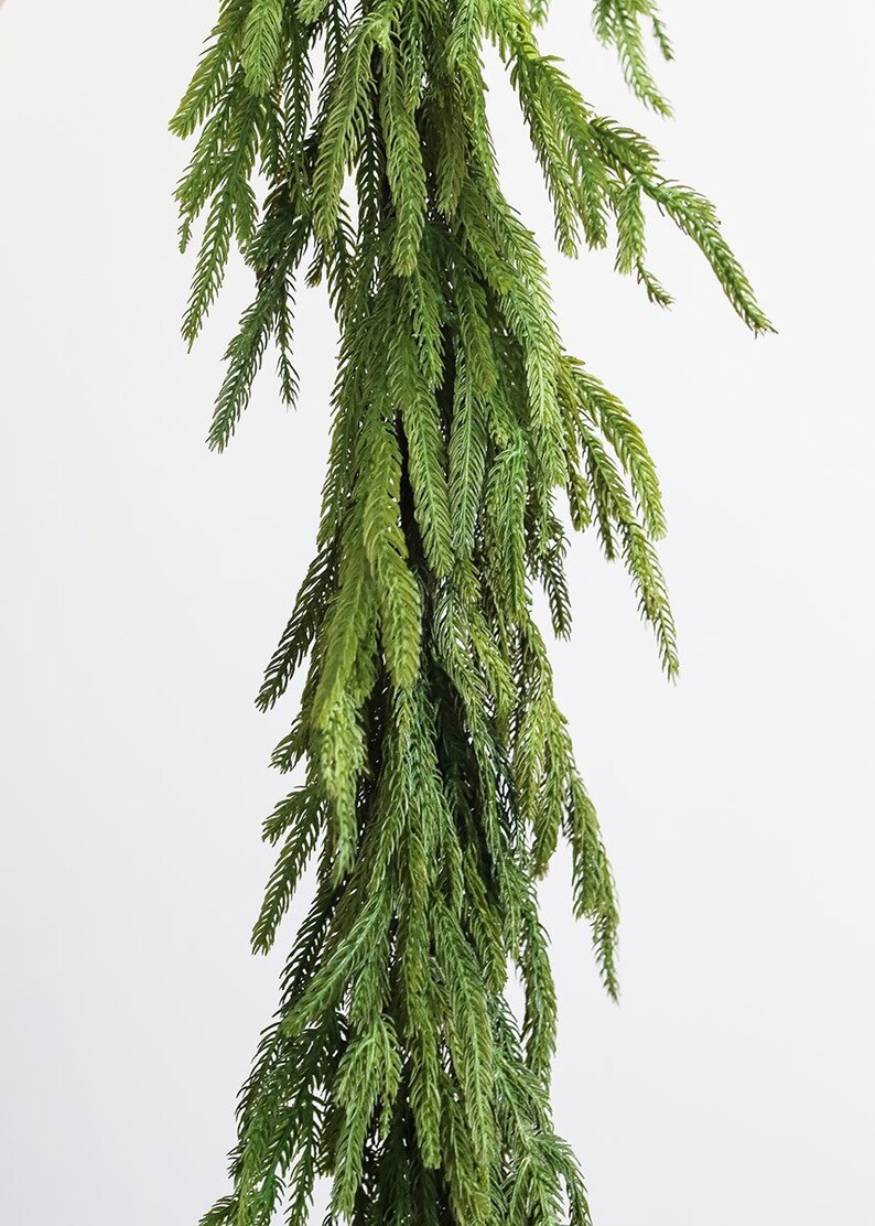 Real Touch Norfolk Pine Garland 60 | Etsy Real Touch Norfolk Pine Garland 60 | Etsy