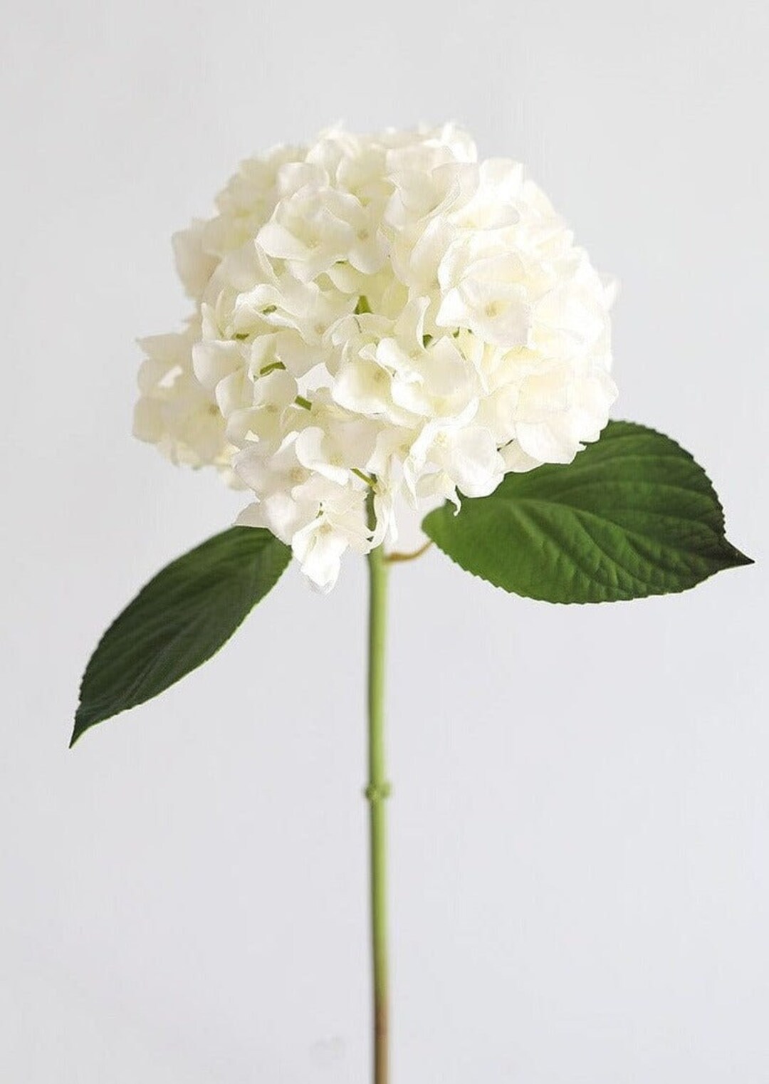 Fake Flowers Real Touch Hydrangea Stem in Talc White 18 - Etsy