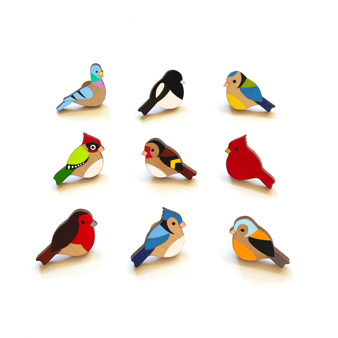 Large Wooden Bird Pin. Various Bird Pins. Hand Painted. Bird - Etsy