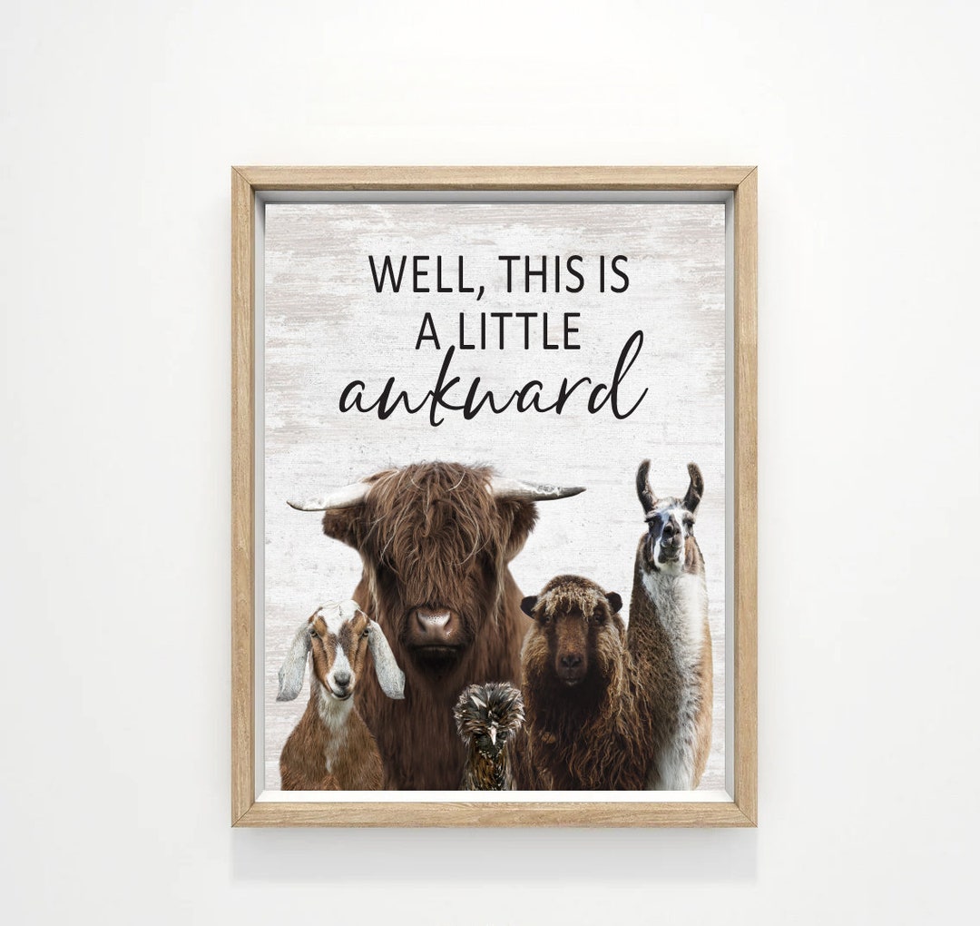 Funny Animal Gang Bathroom Wall Art | Awkward Photo Decor (print ...