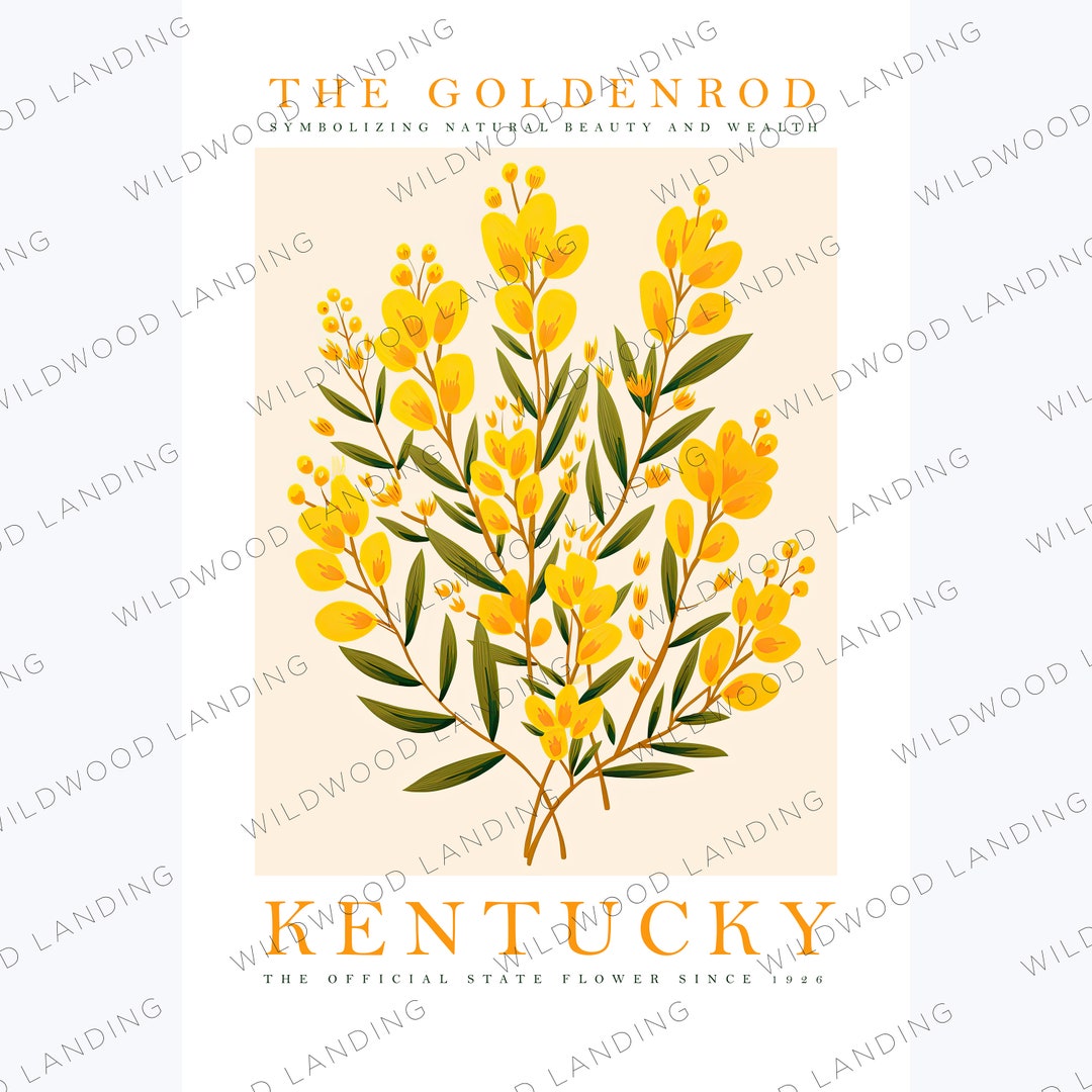 Kentucky State Flower - Etsy