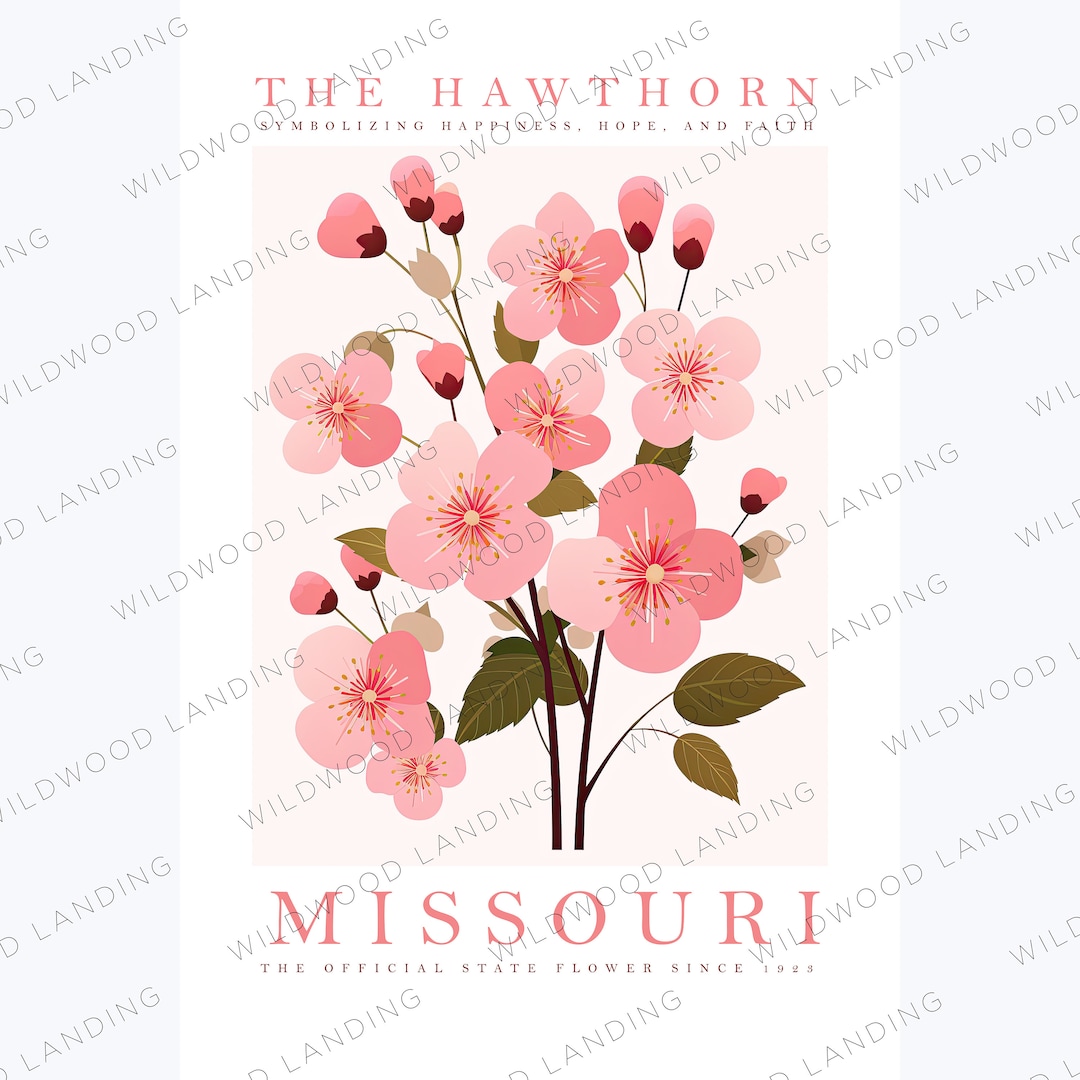 Missouri State Flower - Etsy