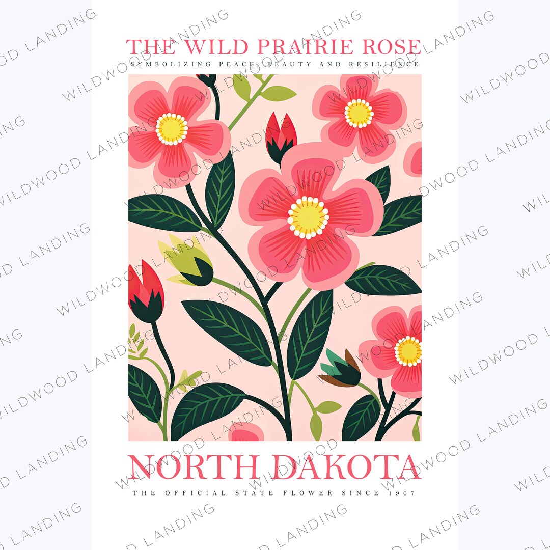 North Dakota State Flower - Etsy