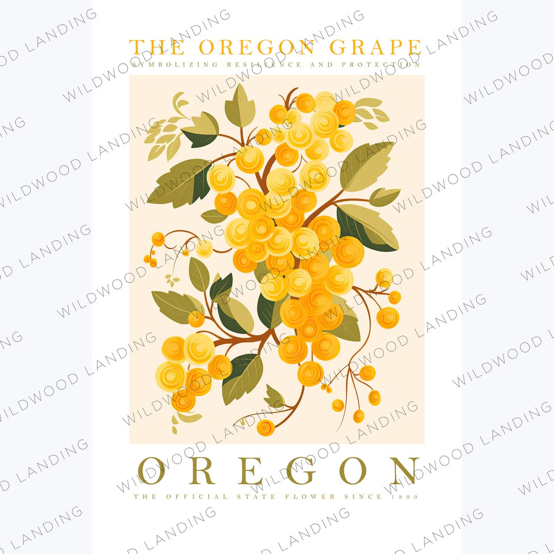 Oregon State Flower - Etsy