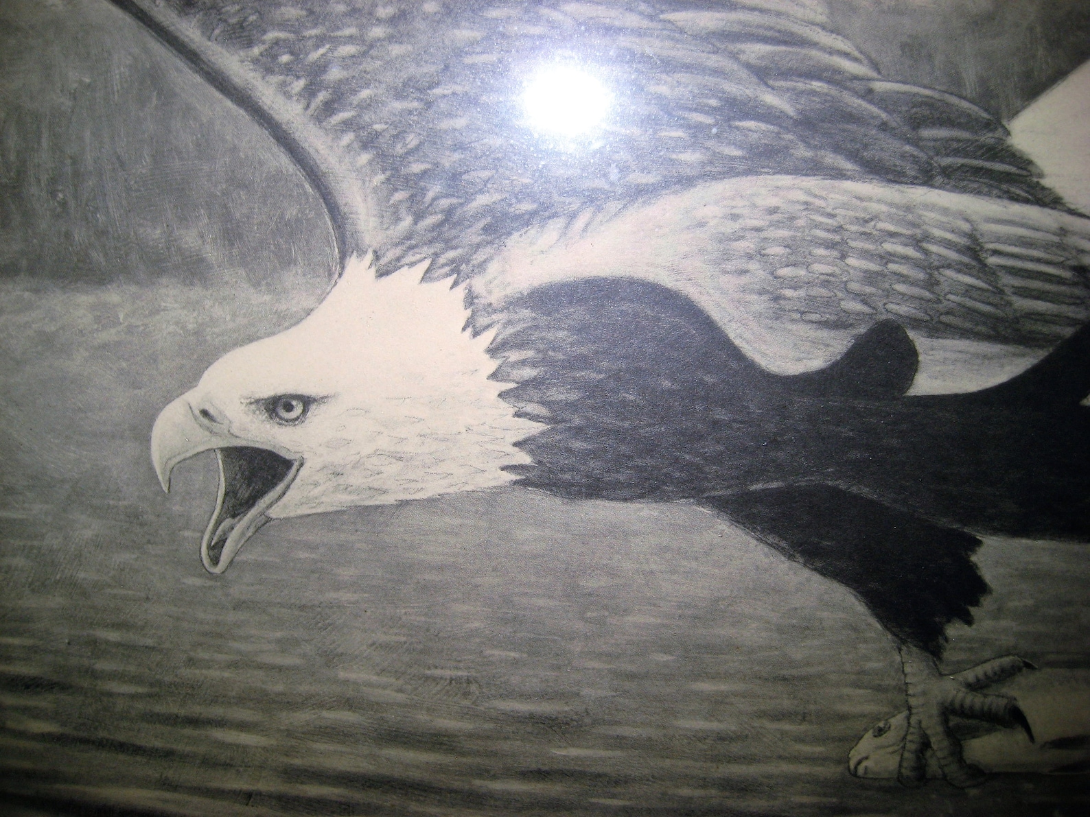 Eagle Print Vintage Bird Poster Large Framed Nature Wall - Etsy