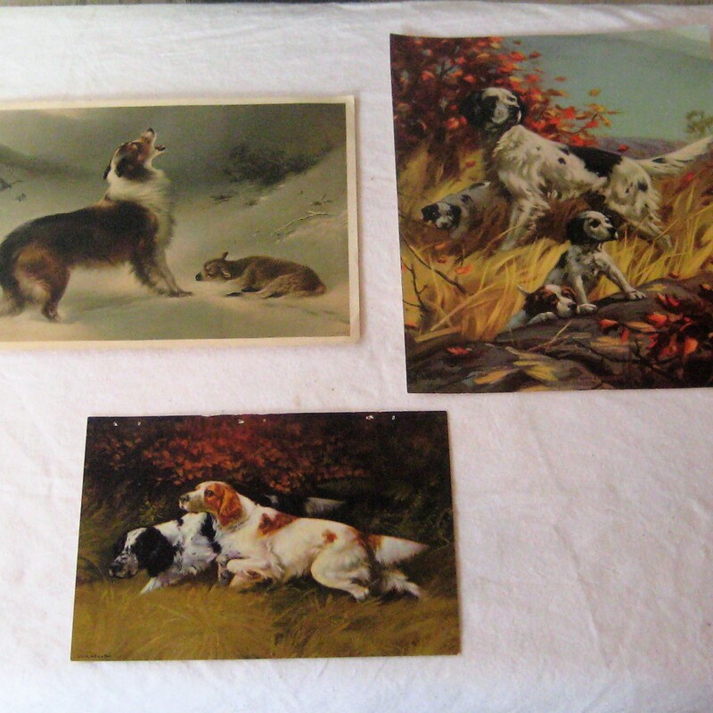Antique Dog Prints - Etsy