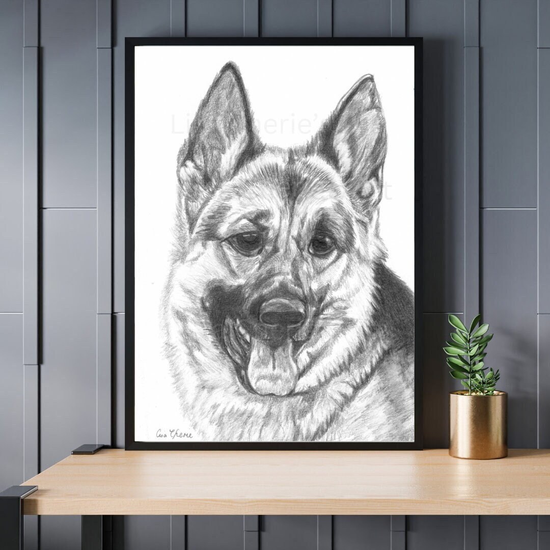 German Shepherd Pencil Drawing - Etsy