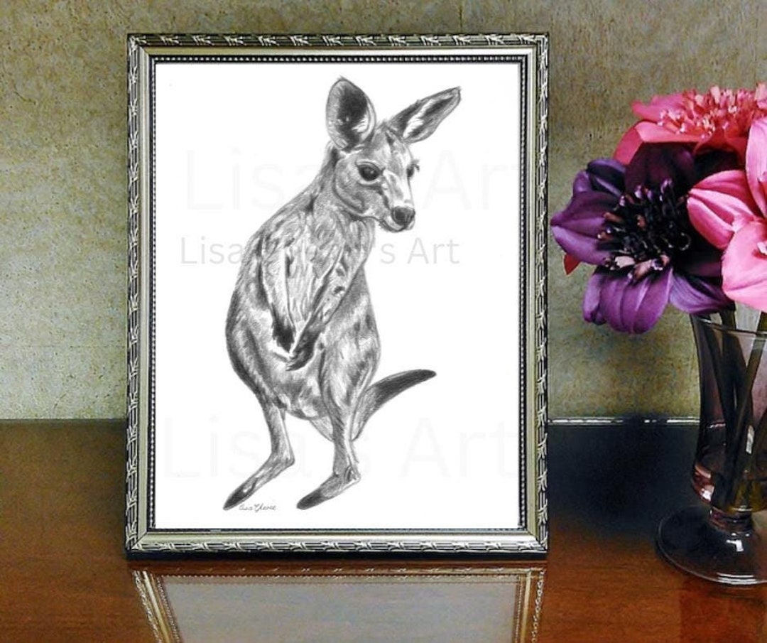 Joey Pencil Drawing, Kangaroo, Australian Wildlife - Etsy
