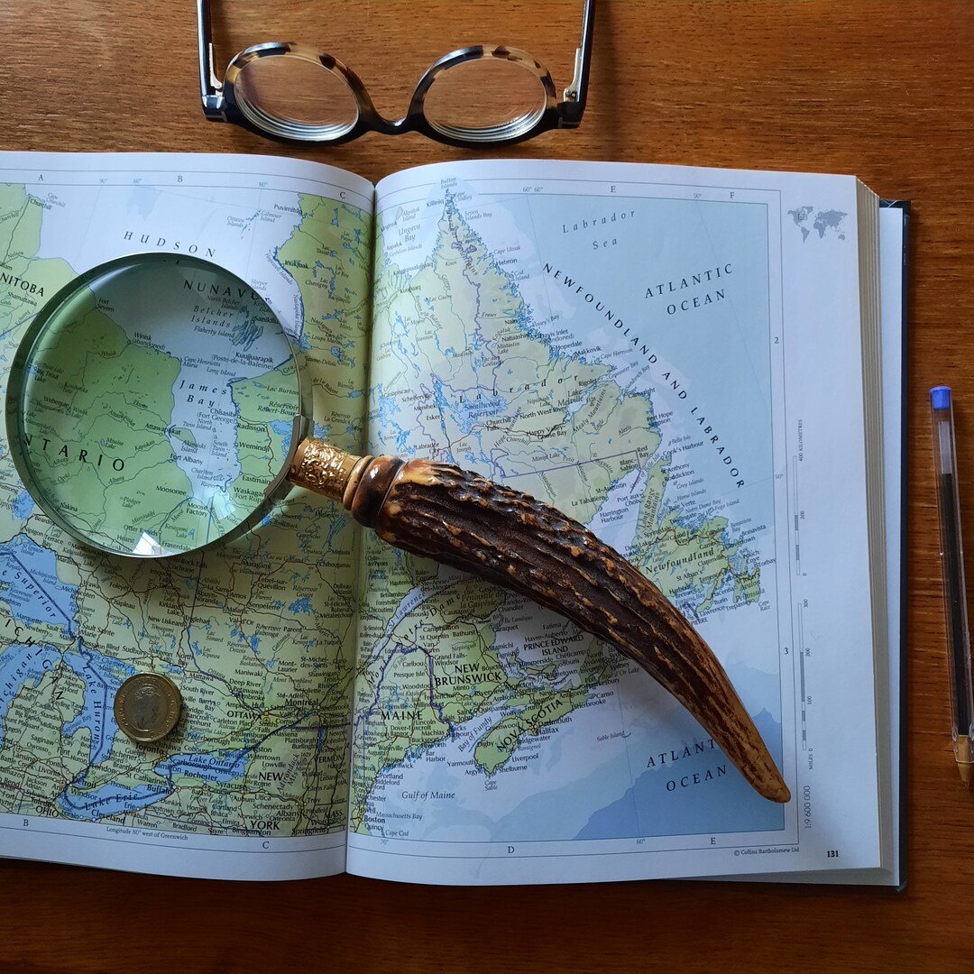 Magnifying Glass, Horn With Gold Plated Ferrule, New Nickel Plated on ...