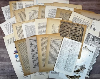 Vintage Book Pages Bundle I Old Book Sheets I for Junk Journals Paper ...