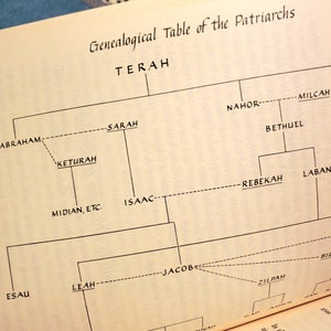 Books, 70s, Understanding Genesis, Sarna - Etsy