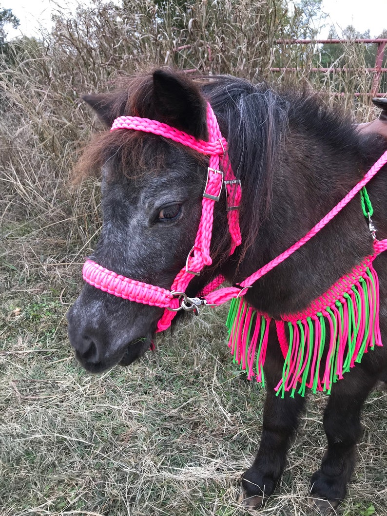Miniature Horse Tack Set, Pony Tack Set, Pink Pony Tack Set, Pony ...