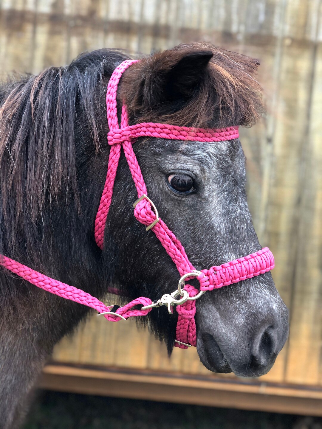 Hot Pink Pony Bitless Bridle, Miniature Horse, Miniature Horse Bridle ...