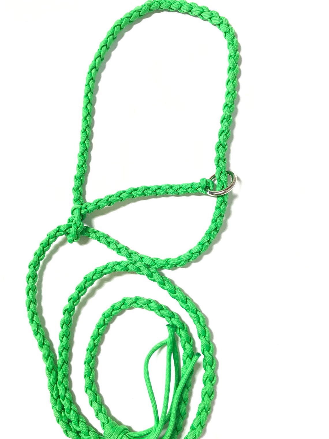 Small Livestock Lead, Goats, Sheep, Alpaca, Goat Halter, Sheep Halter ...