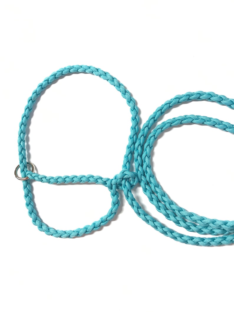 Goat Halter Sheep Halter Goat Lead Livestock Lead Goats - Etsy