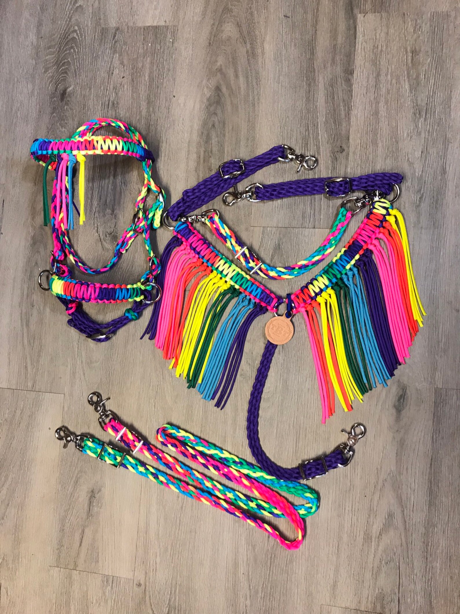 Rainbow Pony Fringe Tack Set - Etsy