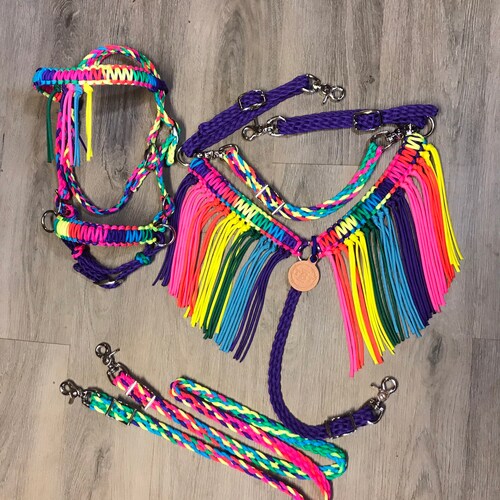 Miniature Horse Tack Set Pony Tack Set Rainbow Pony Tack - Etsy