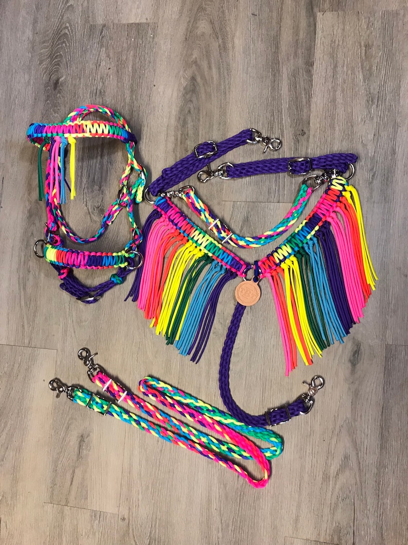 Rainbow Pony Fringe Tack Set | Etsy