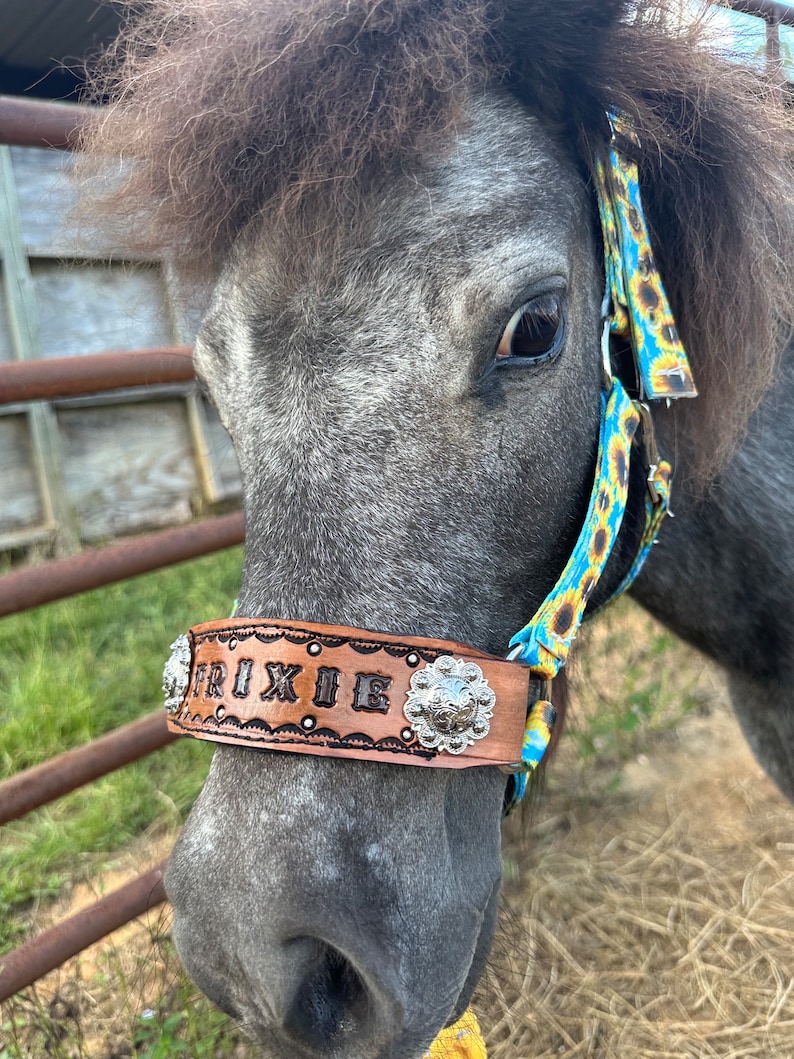 Personalized Pony or Miniature Horse Halter - Etsy