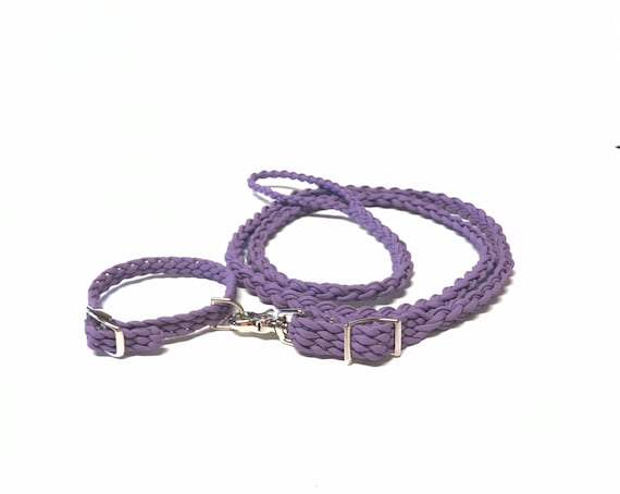 Goat Collar and Leash Dwarf Goat and Regular Goat Sizes | Etsy