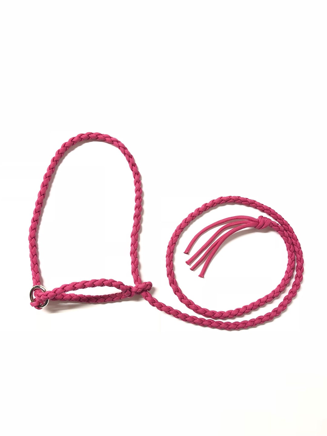 Sheep, Sheep Halter and Lead, Livestock Lead, Goats, Alpacas, Goat ...