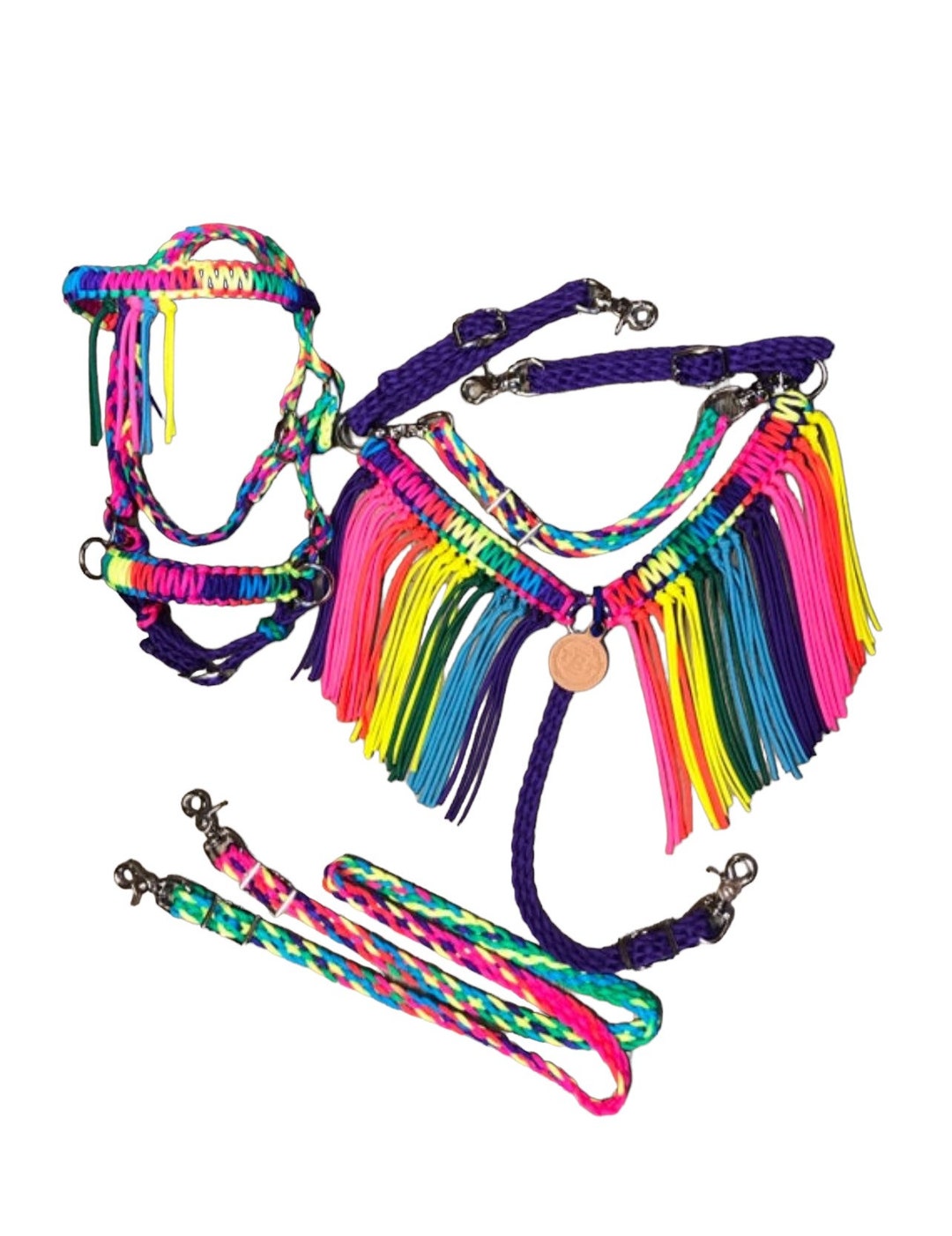 Rainbow Pony Fringe Tack Set - Etsy