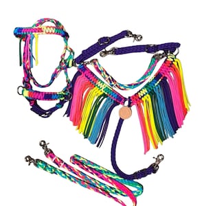 Rainbow Pony Fringe Tack Set - Etsy
