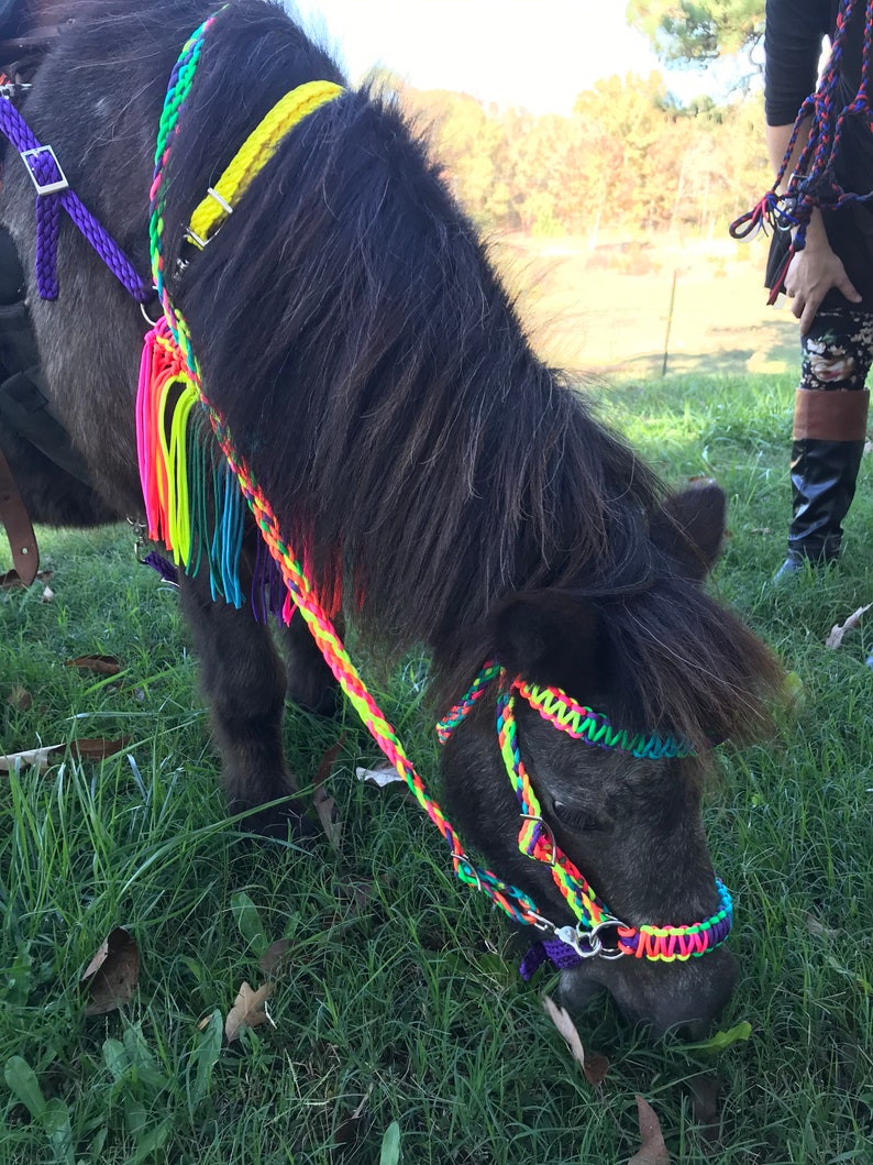 Miniature Horse Tack Set, Pony Tack Set, Rainbow Pony Tack Set, Pony ...