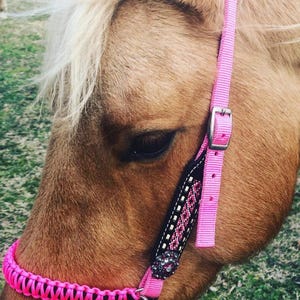 Side Pull Hackamore Hot Pink and Black Mini to Draft Size ...black OR ...