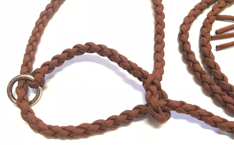 Goat, Goat Halter, Goat Lead, Goats, Sheep, Alpacas, Goat Halter, Sheep ...