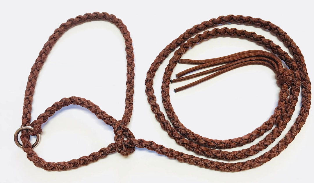 Goat, Goat Halter, Goat Lead, Goats, Sheep, Alpacas, Goat Halter, Sheep ...