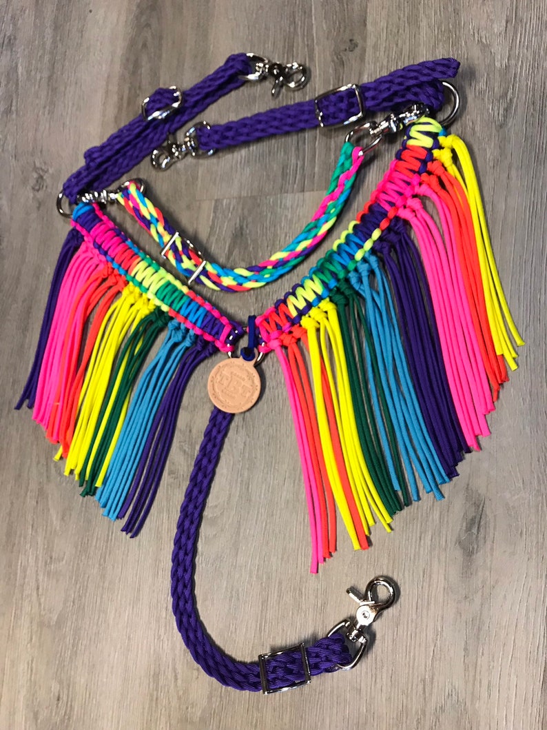Rainbow Pony Fringe Tack Set | Etsy