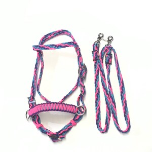 Pink Purple and Turquoise Pony Bitless Bridle, Miniature Horse ...