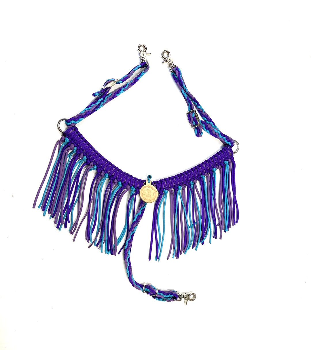 Miniature Horse, Pony Tack, Miniature Horse Tack, Miniature Horse ...