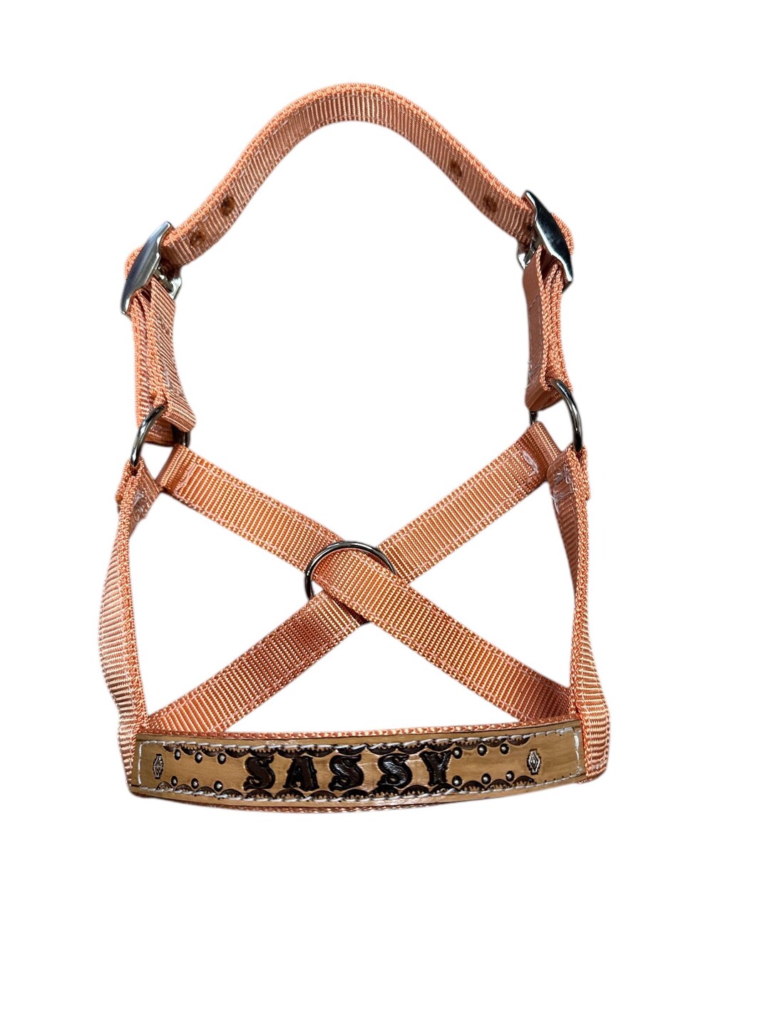 Hand Tooled and Hand Painted Personalized Mini Cow Nylon Halter Peach ...
