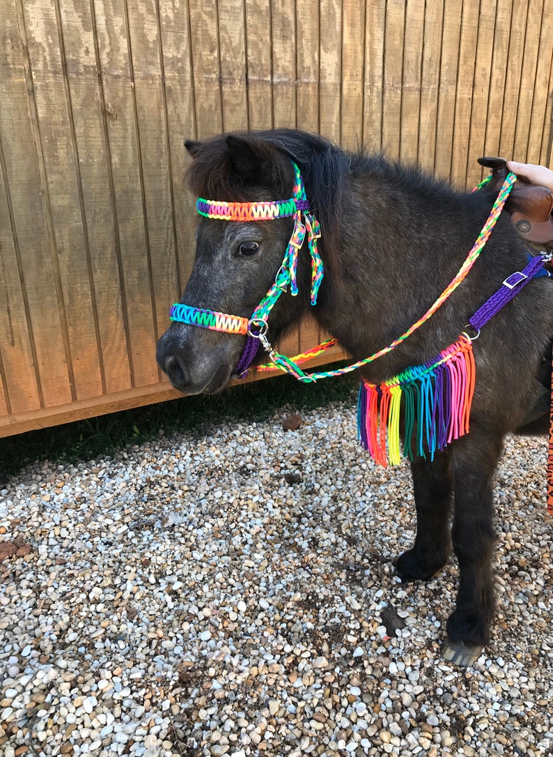 Miniature Horse Tack Set Pony Tack Set Rainbow Pony Tack - Etsy
