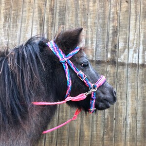 Pink Purple and Turquoise Pony Bitless Bridle, Miniature Horse ...