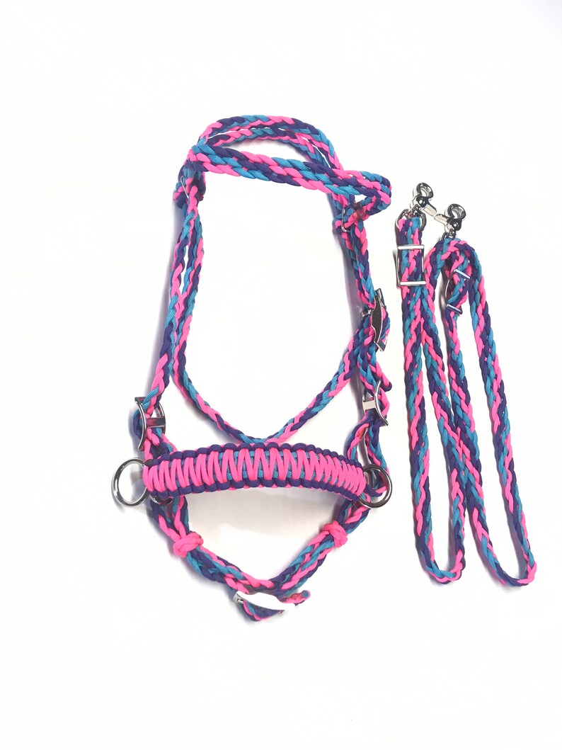 Pink Purple and Turquoise Pony Bitless Bridle Miniature - Etsy