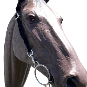 One Ear Bridle With Easy Clips for Quick Change of Bits - Etsy