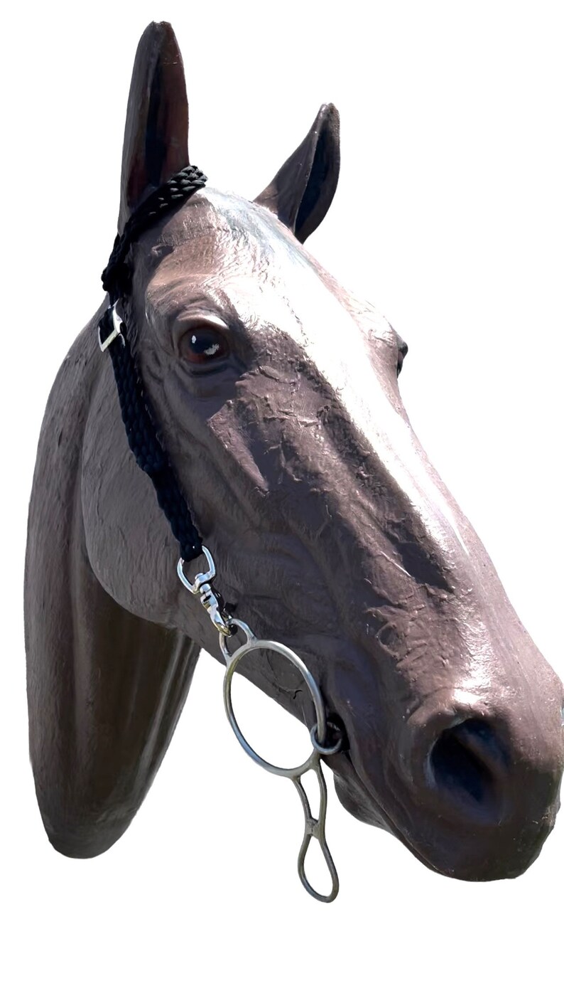 One Ear Bridle With Easy Clips for Quick Change of Bits - Etsy