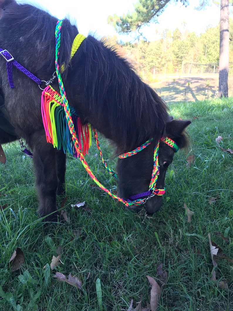 Miniature Horse Tack Set, Pony Tack Set, Rainbow Pony Tack Set, Pony ...