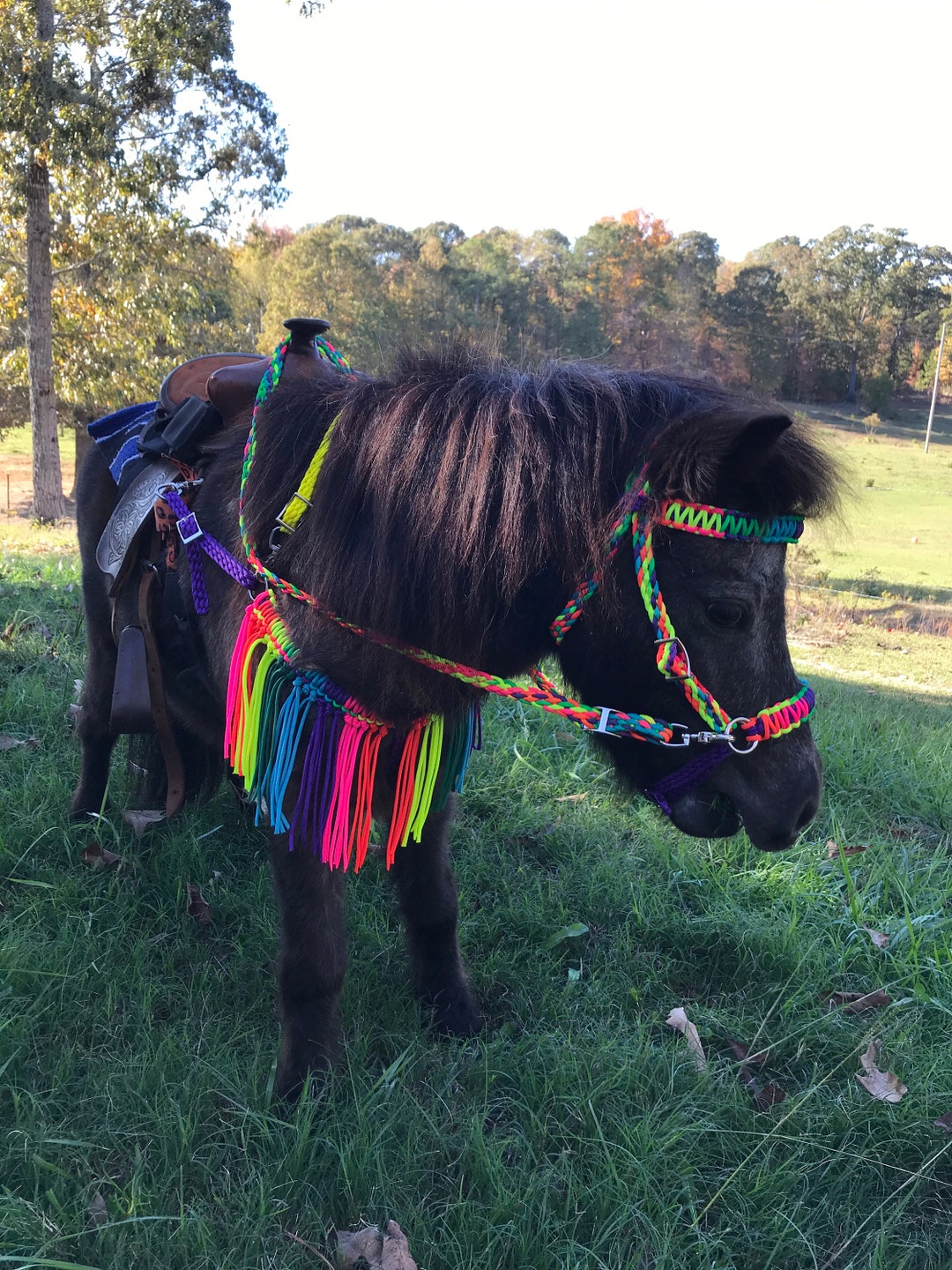 Miniature Horse Tack Set, Pony Tack Set, Rainbow Pony Tack Set, Pony ...
