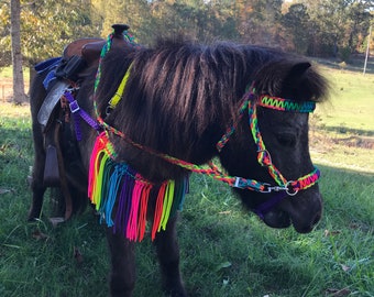 Rainbow Pony Fringe Tack Set - Etsy