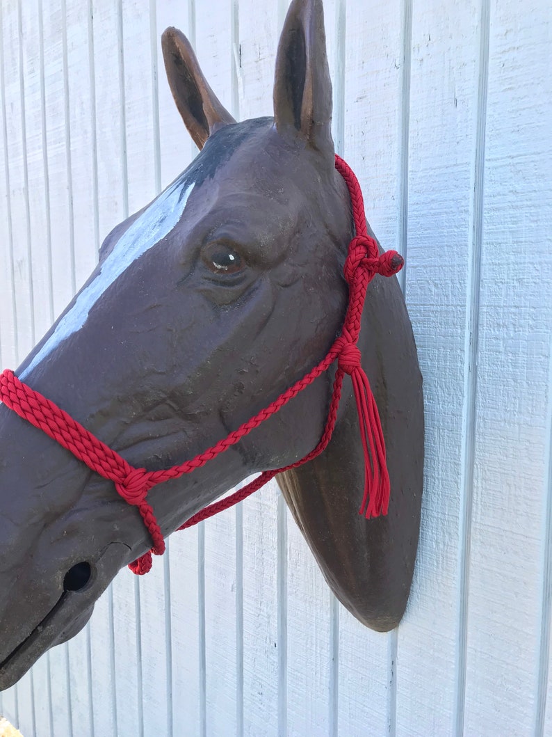 Horse Halter Braided Halter Horse Rope Halter Horse Tack - Etsy
