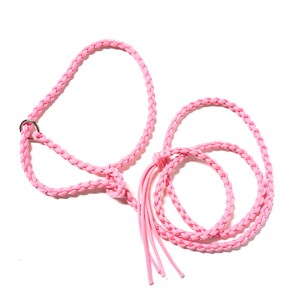 Goat Halter, Small Light Pink Livestock Lead, Goats, Sheep, Alpacas ...