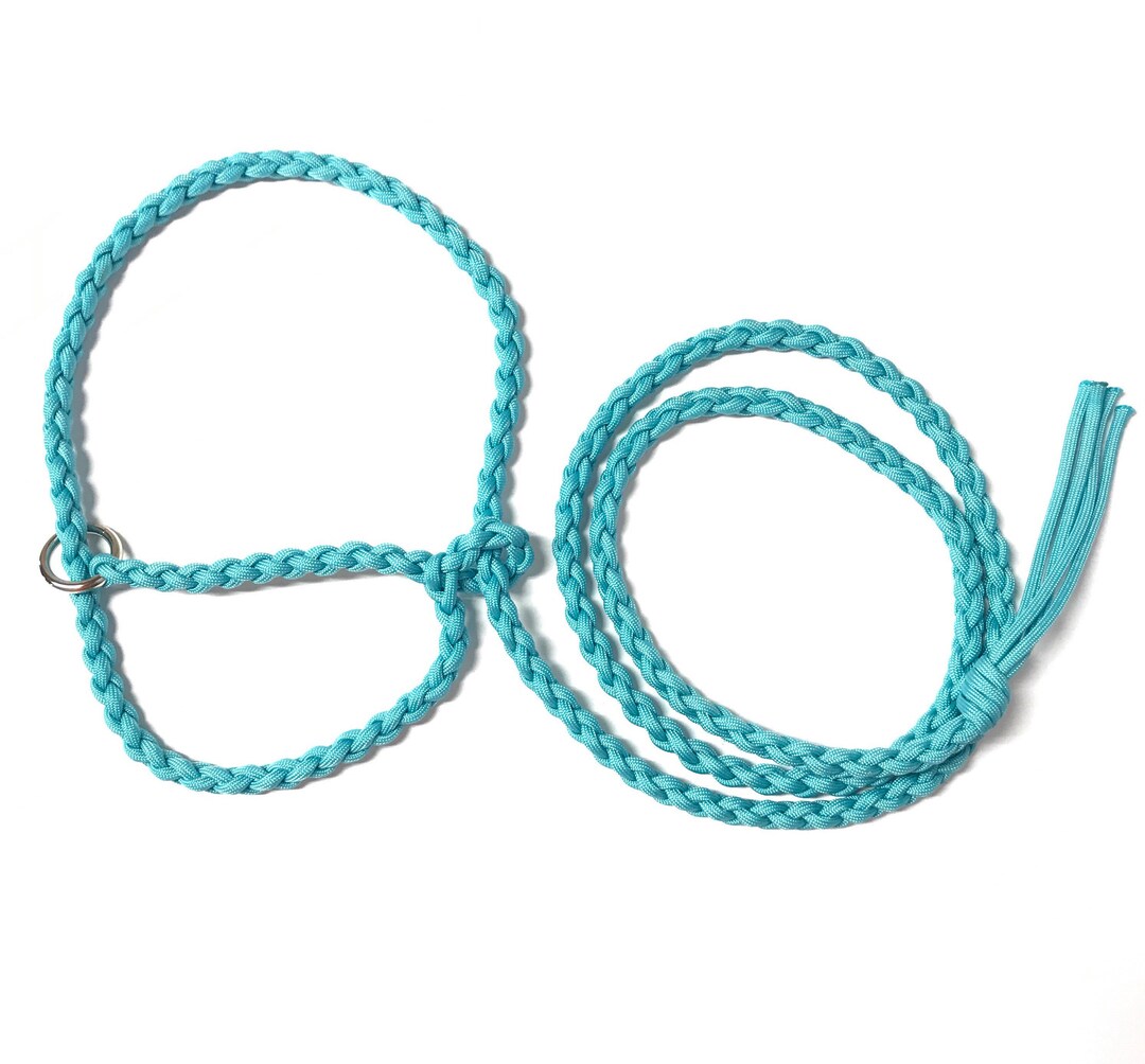 Goat Halter, Sheep Halter, Goat Lead, Livestock Lead, Goats, Sheep ...