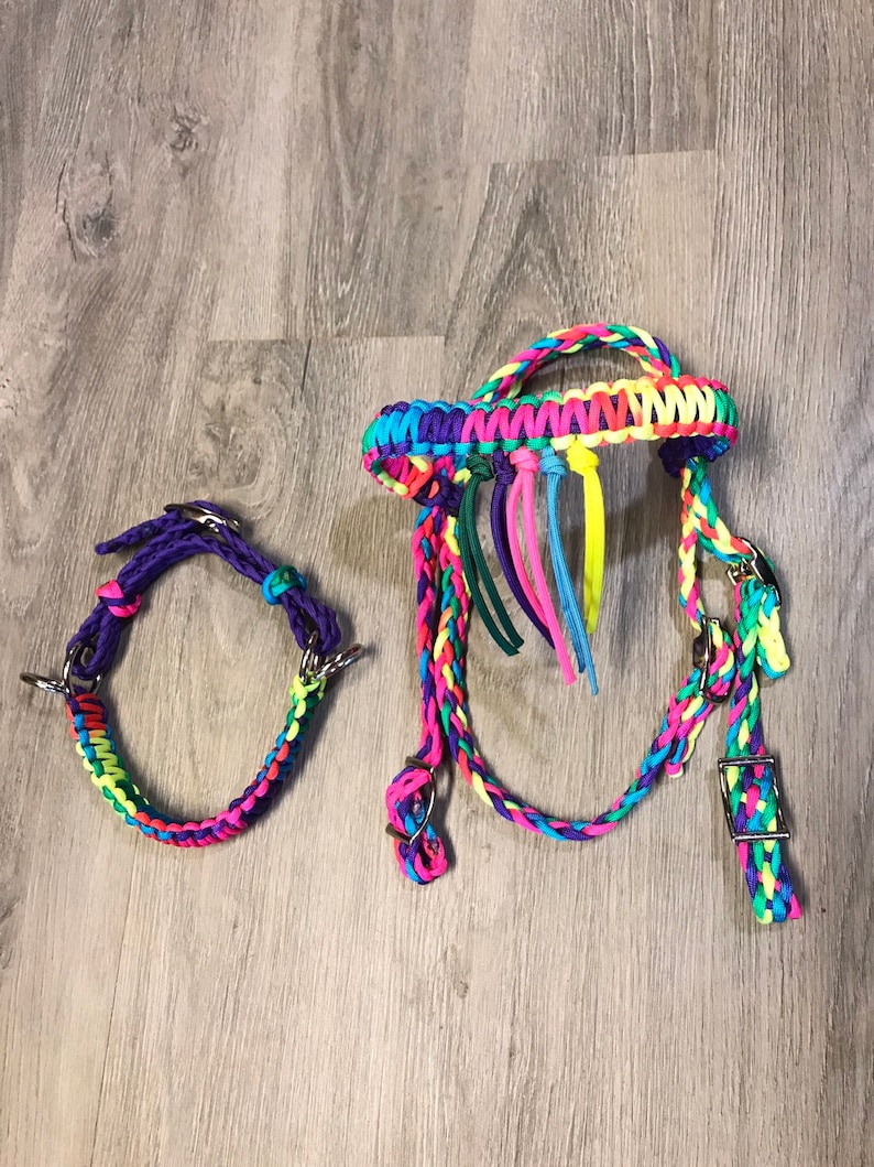 Rainbow Pony Fringe Tack Set - Etsy